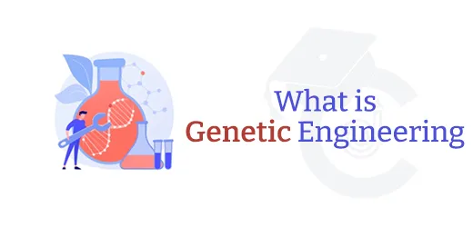 What is Genetic Engineering – Work and Career Prospects