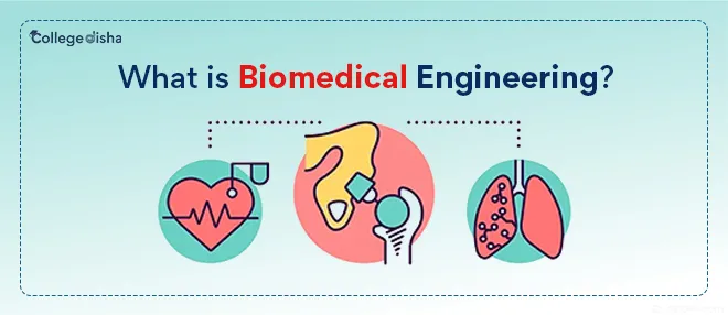 What is Biomedical Engineering - Course, Career, Syllabus, Job ...